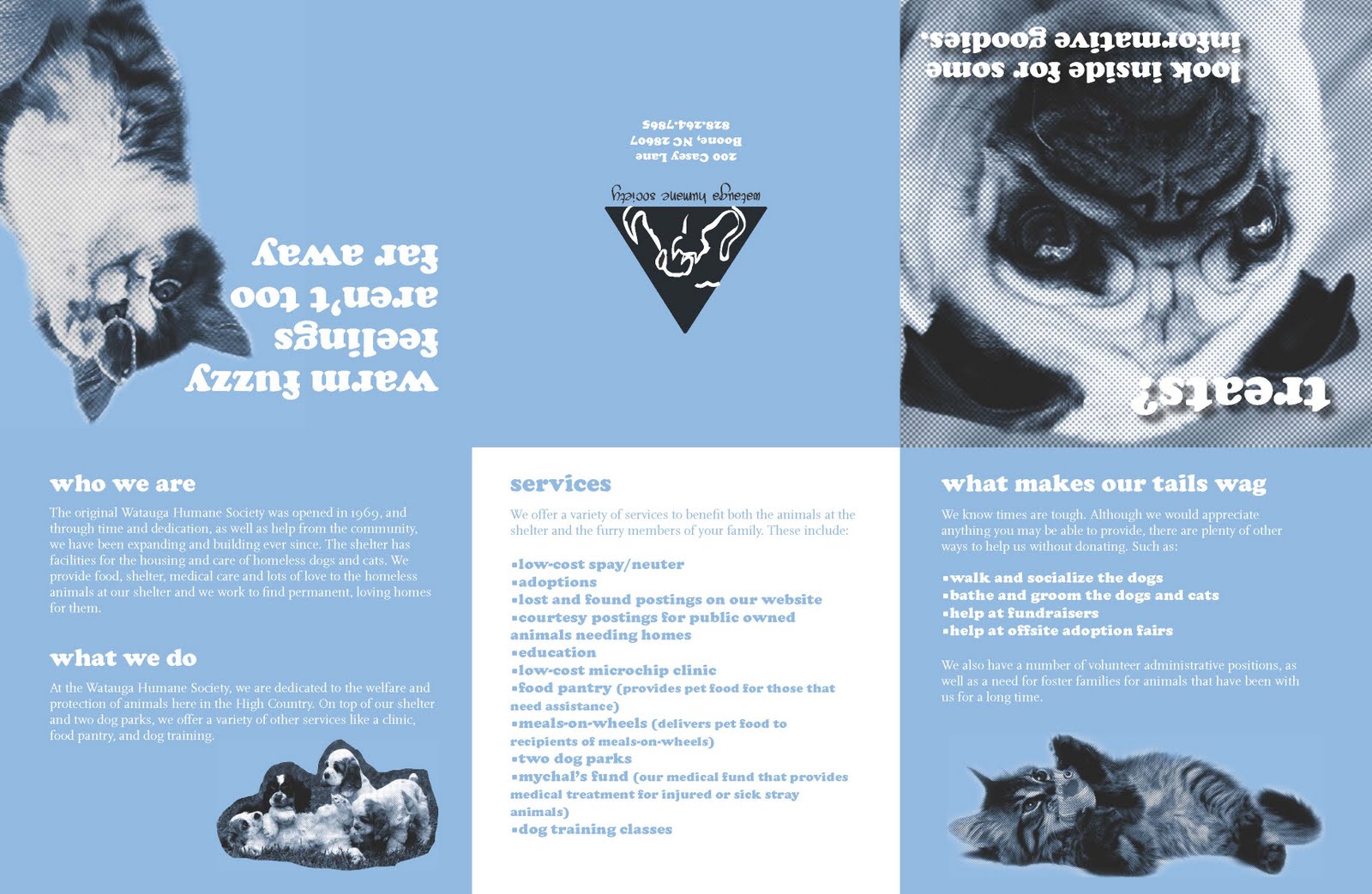 Stacey Campbell: Watauga Humane Society: Brochure Rough 2