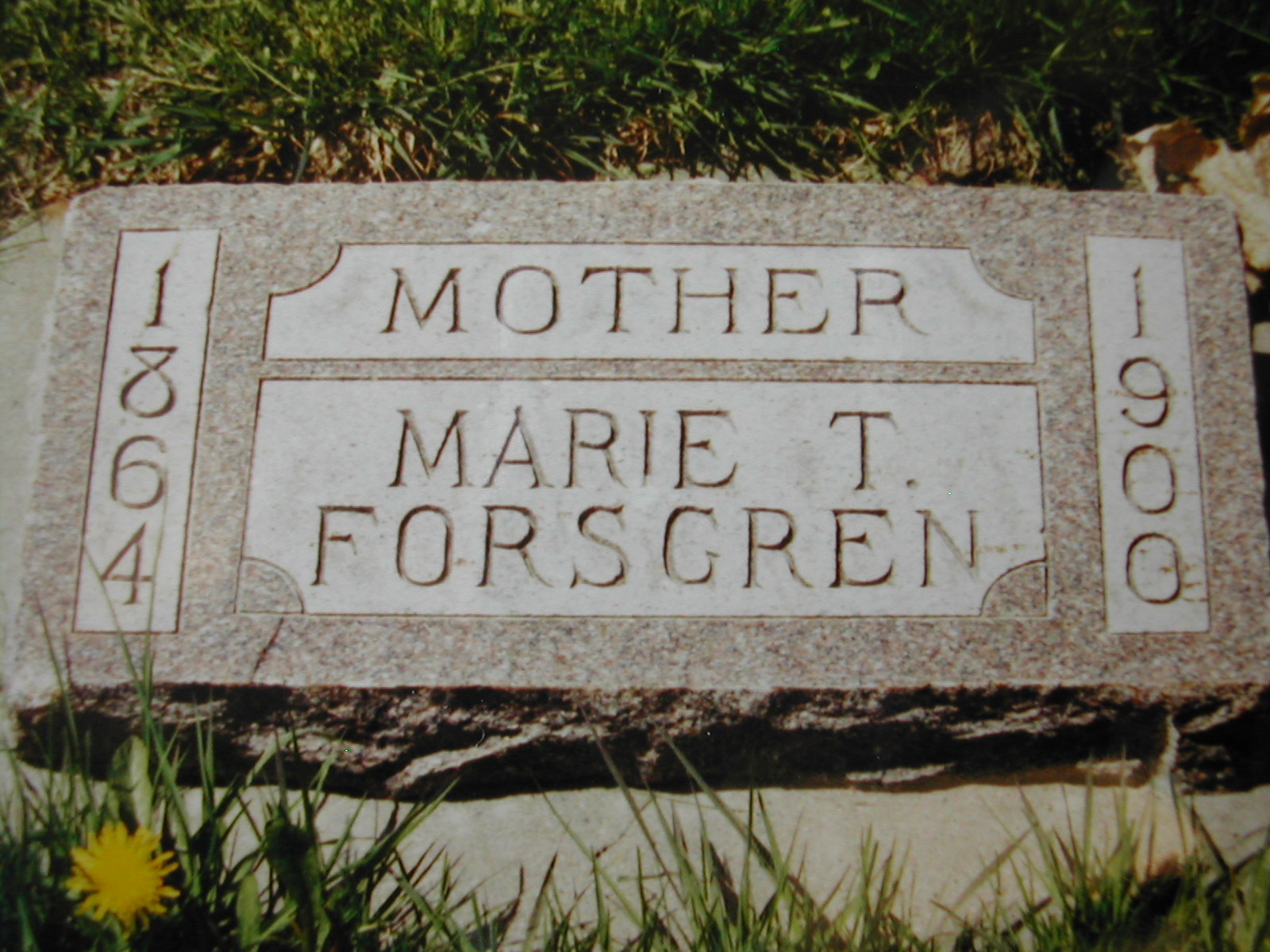 FORSGREN John Erik & Descendants: DESCENDANTS OF JEF - John Heber Forsgren