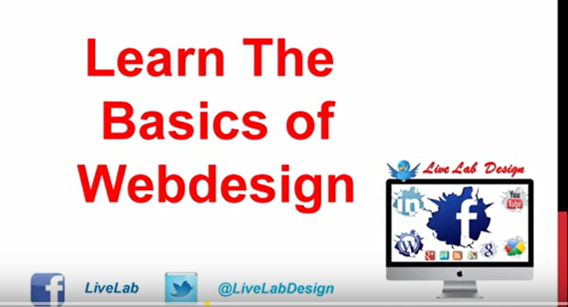 Learn the Basics of Web Designing