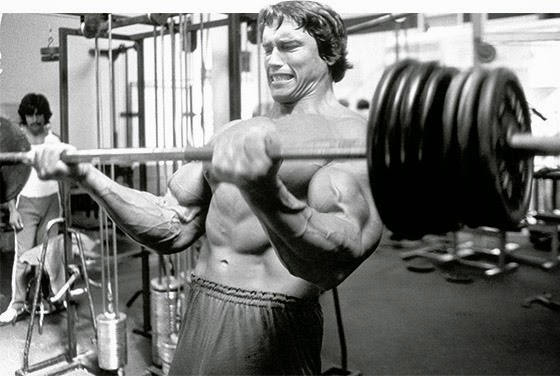 worldwidemodel bodybuilders: ARNOLD'S ARM WORKOUT