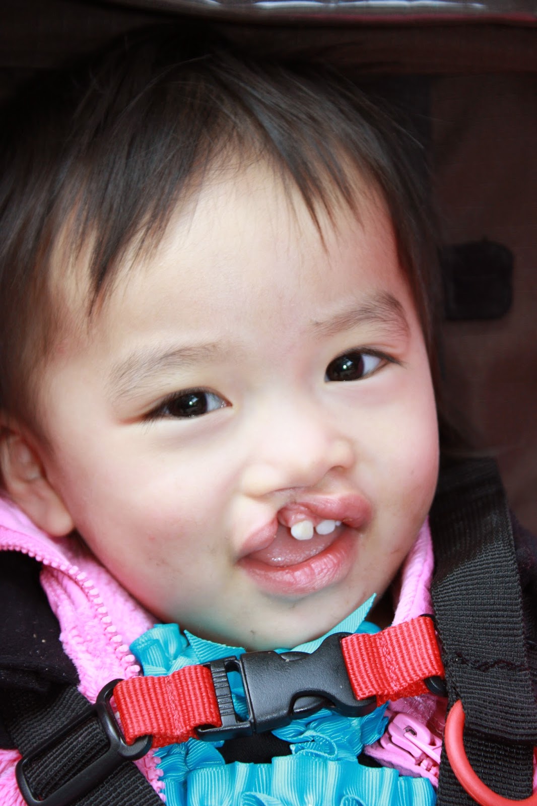 The Satcher Family: China Day 10 – Chimelong Safari Park