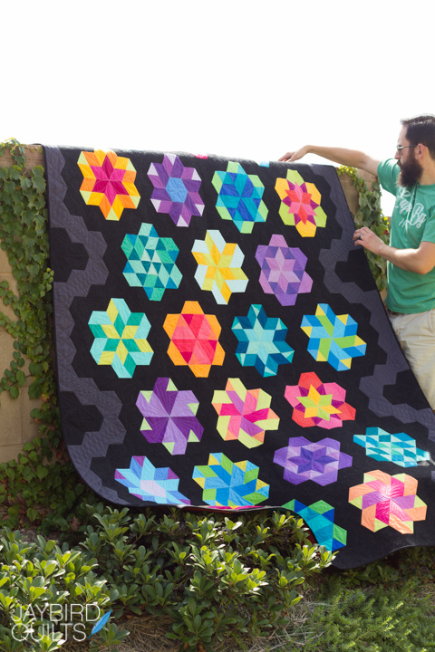 Jaybird Quilts: My Newest Block of the Month is Sweet Tooth!