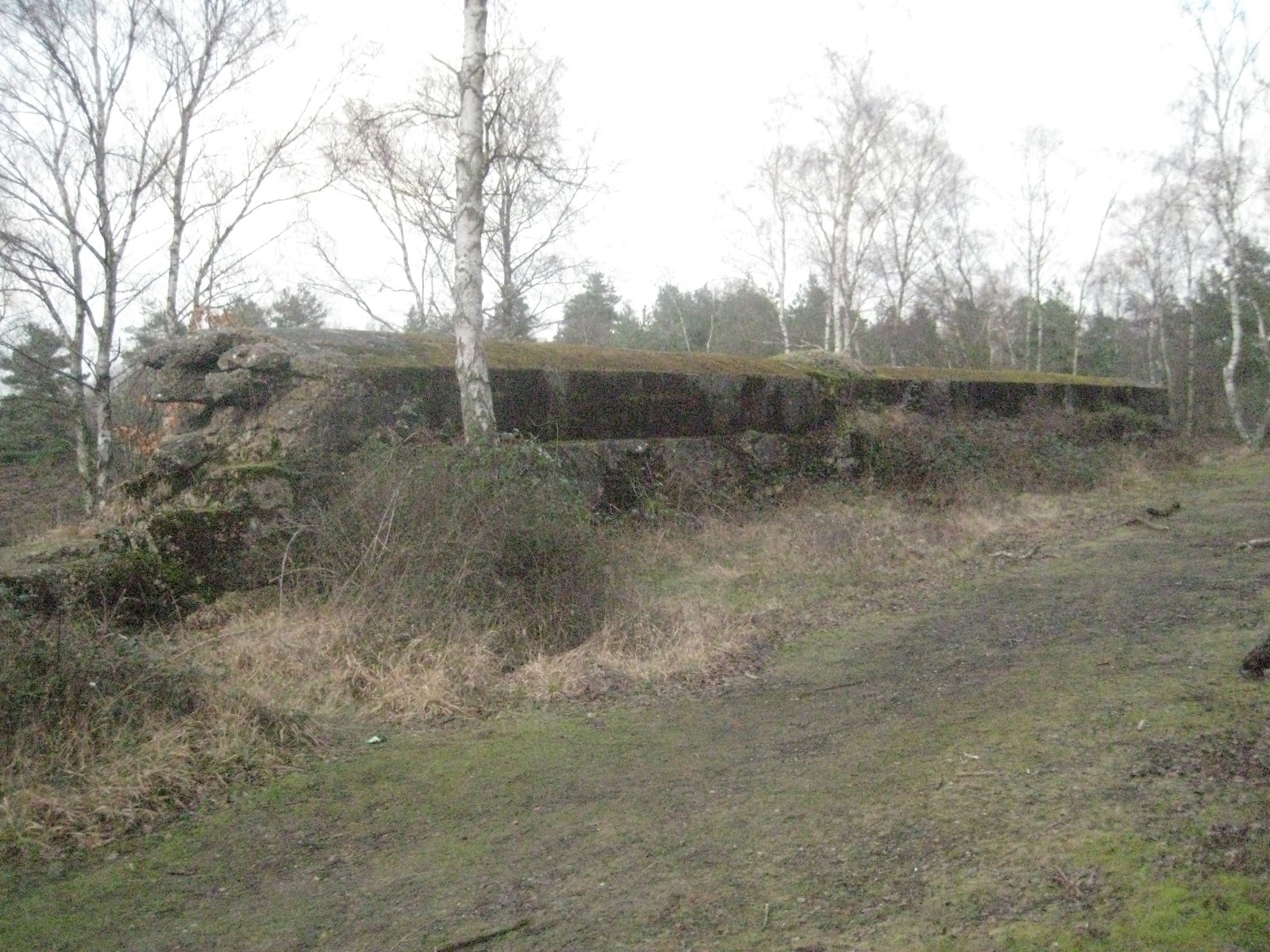 Bobby's Dream: The Atlantic Wall, Hankley Common, Tilford, Surrey