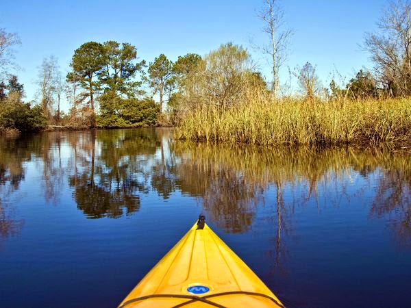 Suite T- The Author's Blog: South Carolina Settings—Novel Atmospheres