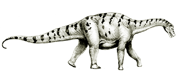 Los animales en la prehistoria: Animales prehistóricos con la letra B