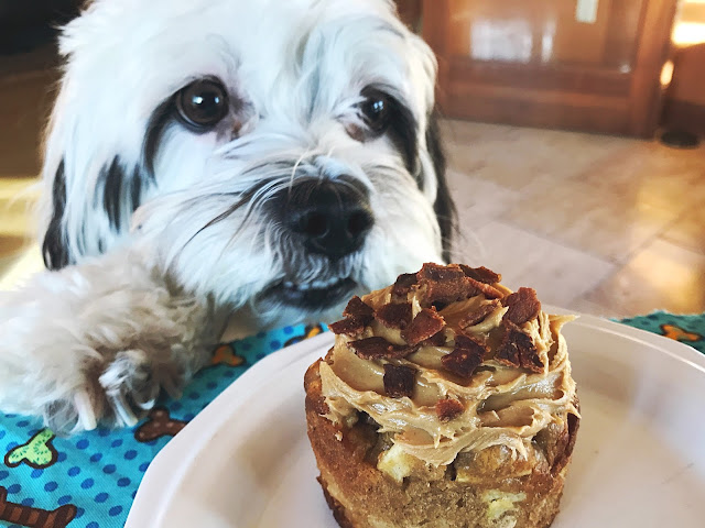 Planet Kelsey: Pupcake recipe
