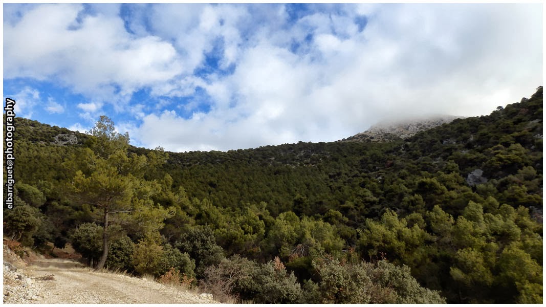 Naturaleza y Paisajes de España: Cañada de Las Hazadillas (subida a ...
