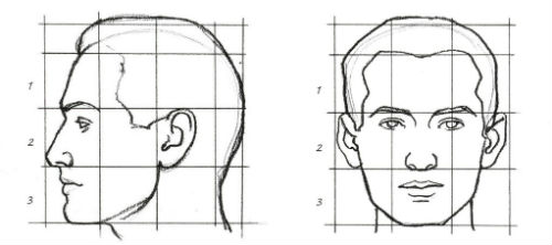 Jason Cytacki Teaching: Proportions of the Face / Planar Analysis
