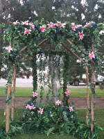 Trish's Weddings & More: Tree Branch Arch