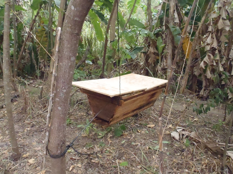 APISRED: Iniciamos nuestra incursion en la colmena KTBH, Top Bar Hive,o ...