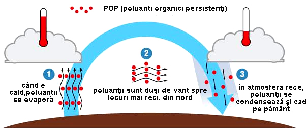 Al-Chimia Barbarilor: Portofoliu compusi halogenati - Antonia Dumitrache