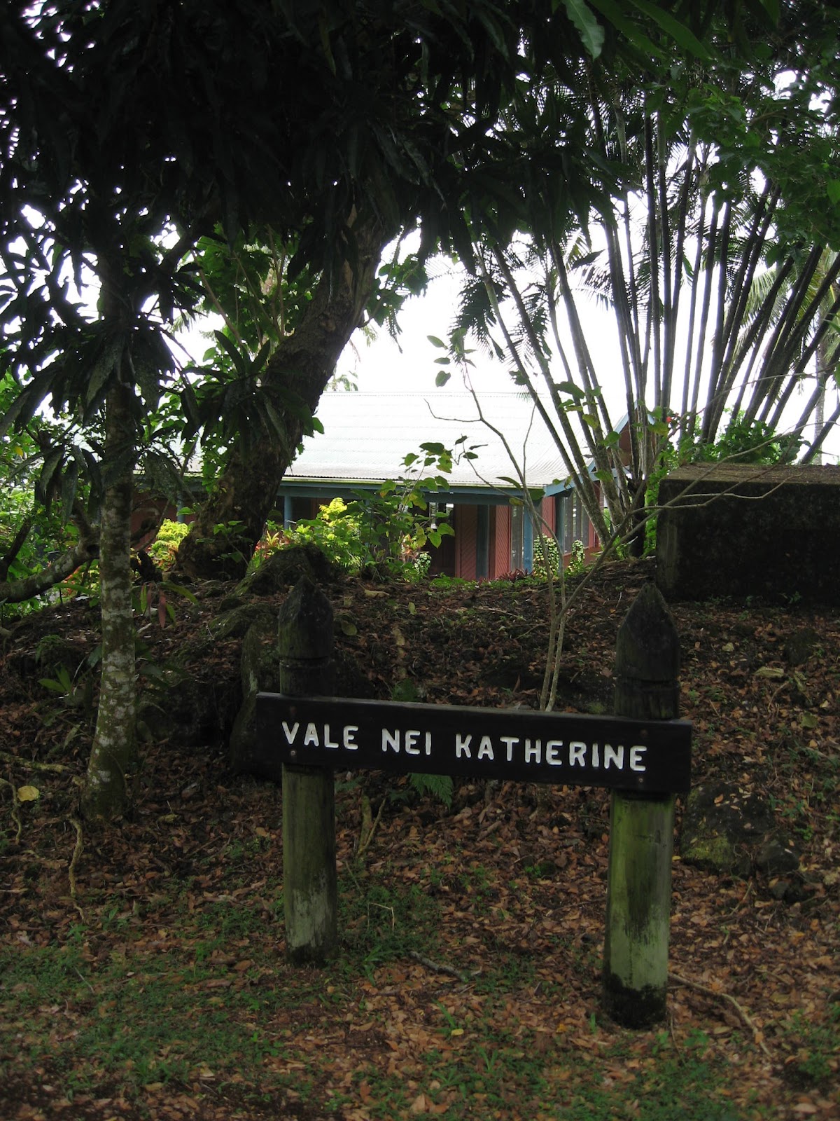Annie and Tom: A New Home in Taveuni