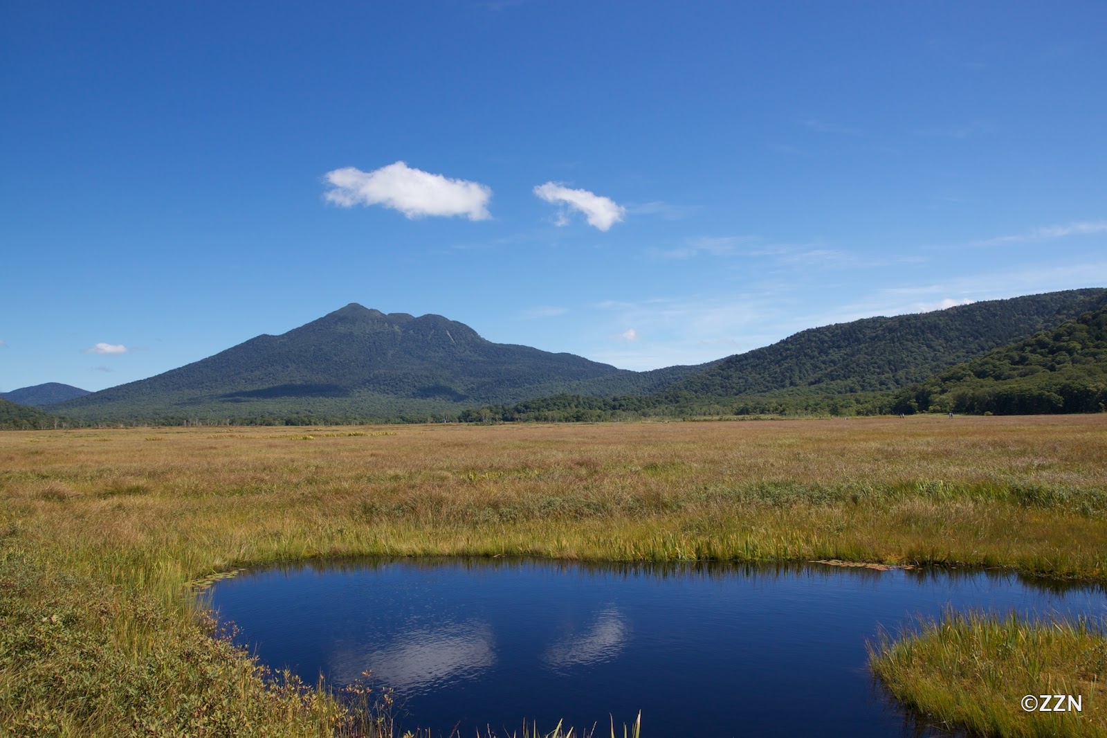 Visit Gunma!: Gunma Tours 2: Oze National Park (尾瀬国立公園)