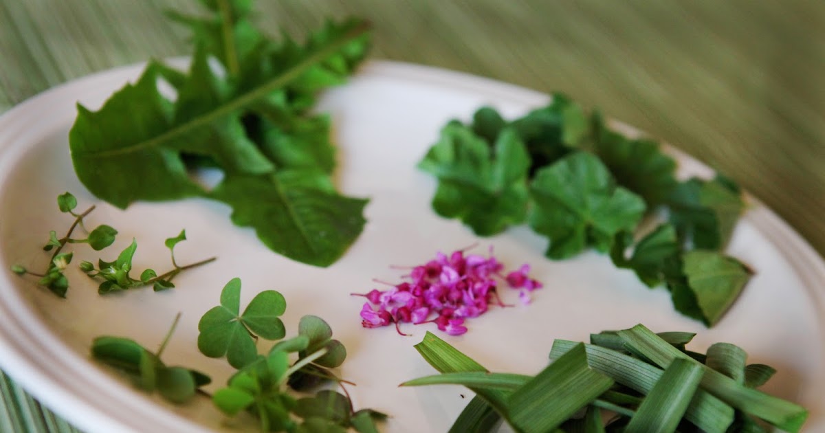 Wild Edible Texas: Redbud