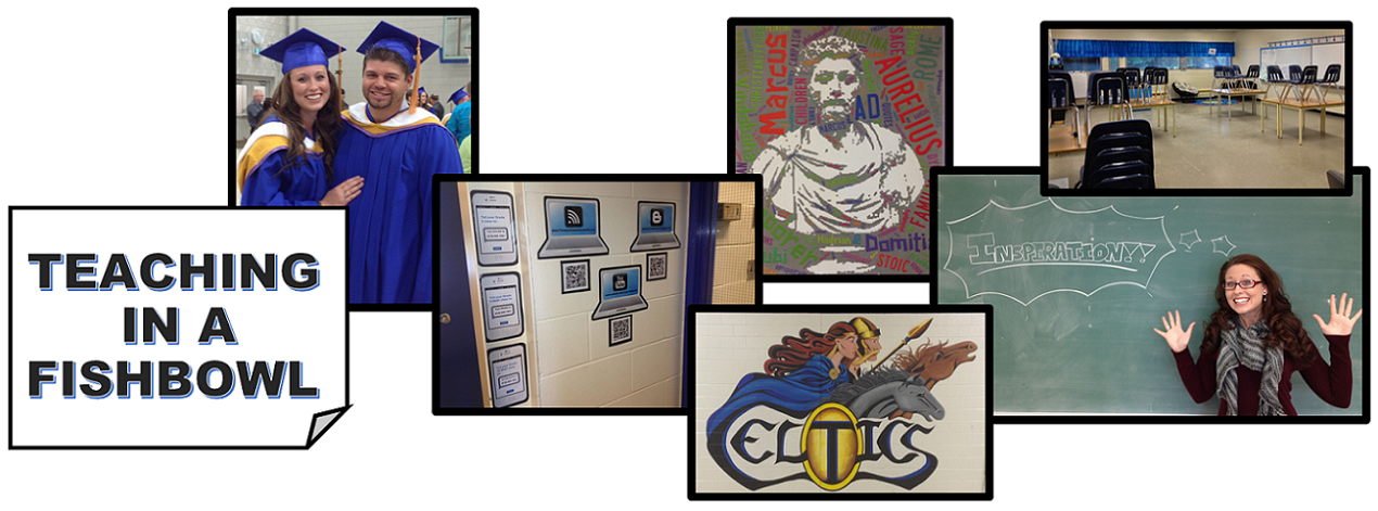 Teaching in a Fishbowl: 2014