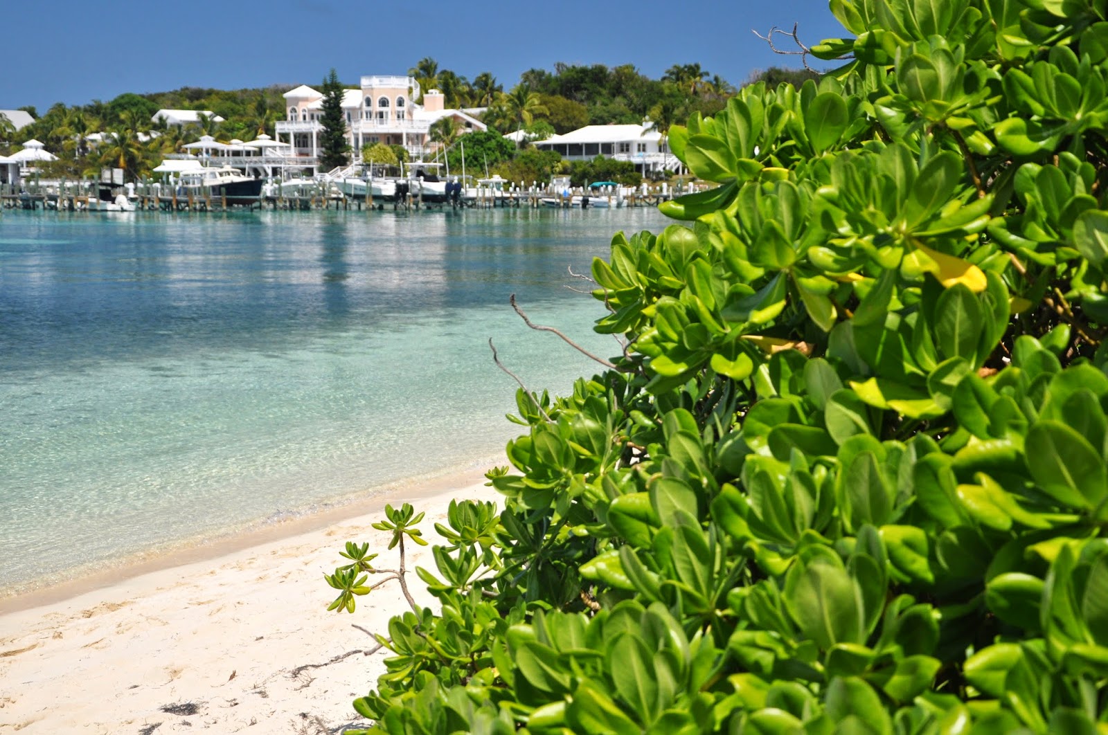 La mer des Abacos et ses Cays, Bahamas | La Jeannoise
