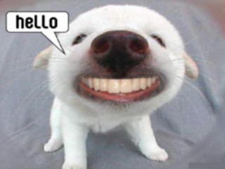 English Edublog - INSAL - Ahuachapán: Basic Greetings in English