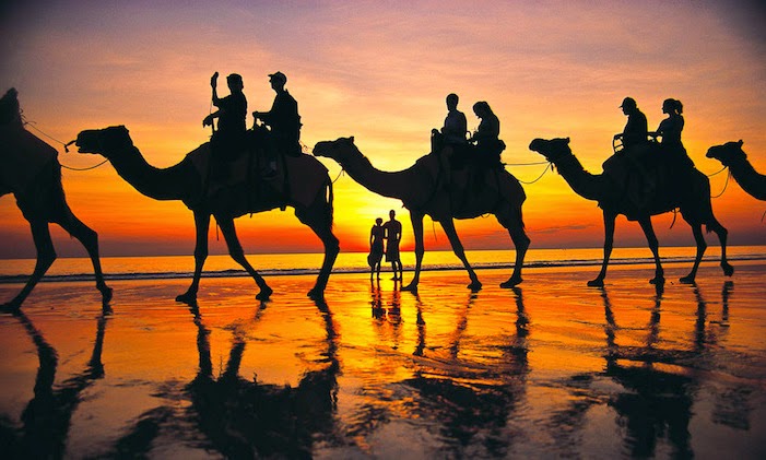 The Flying Tortoise: The Spectacular Australian Camel Train. Don't Miss ...