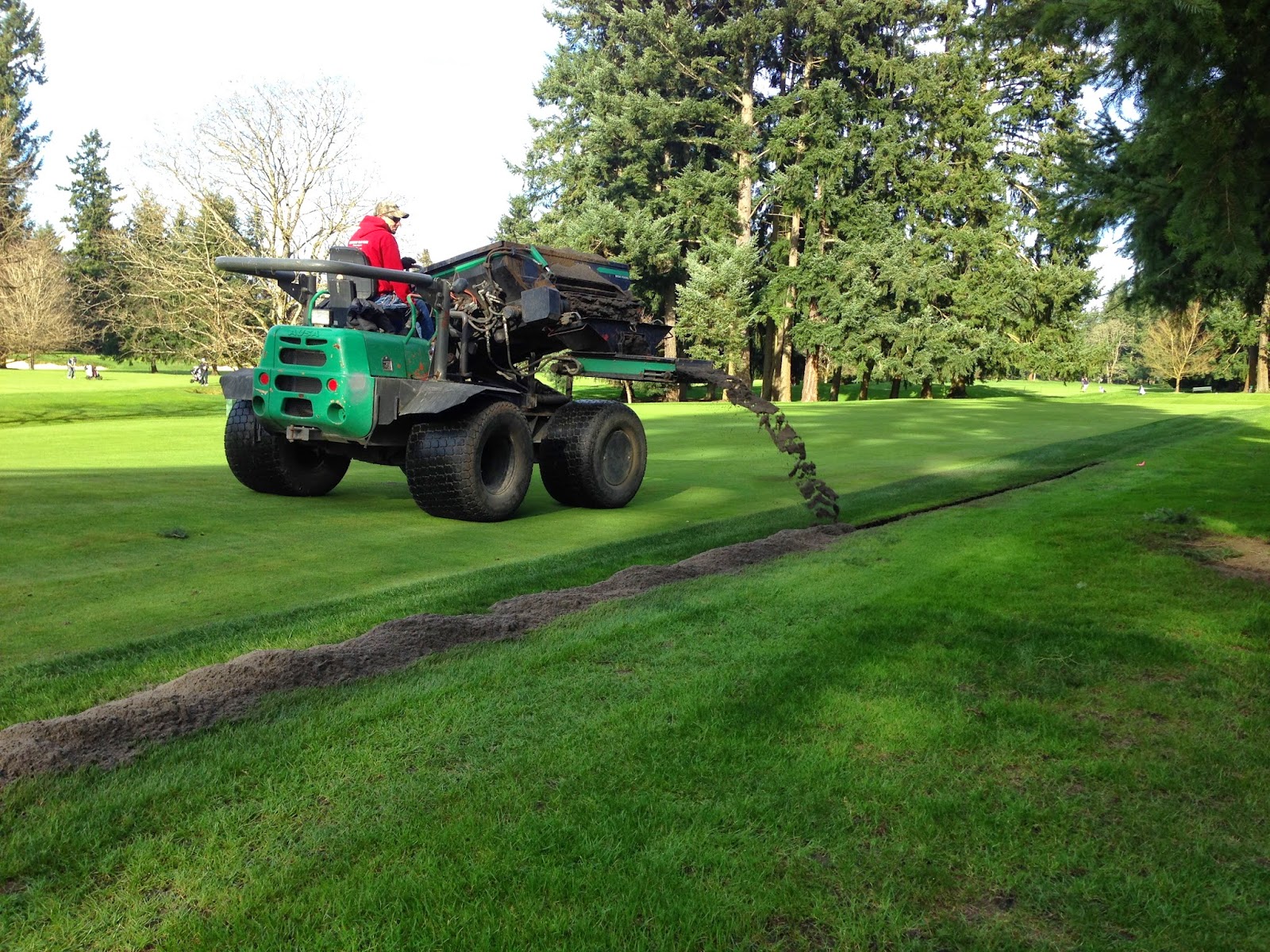 TacomaTurf: Root Pruning