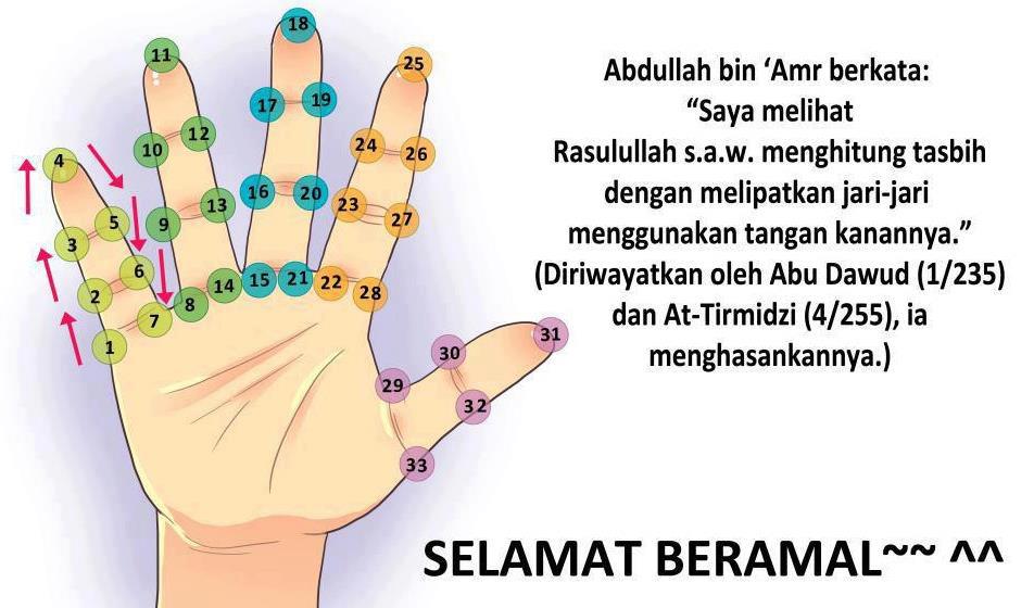 notes tentang keutamaan dzikir memakai jari tangan kanan | Meraih Ilmu ...