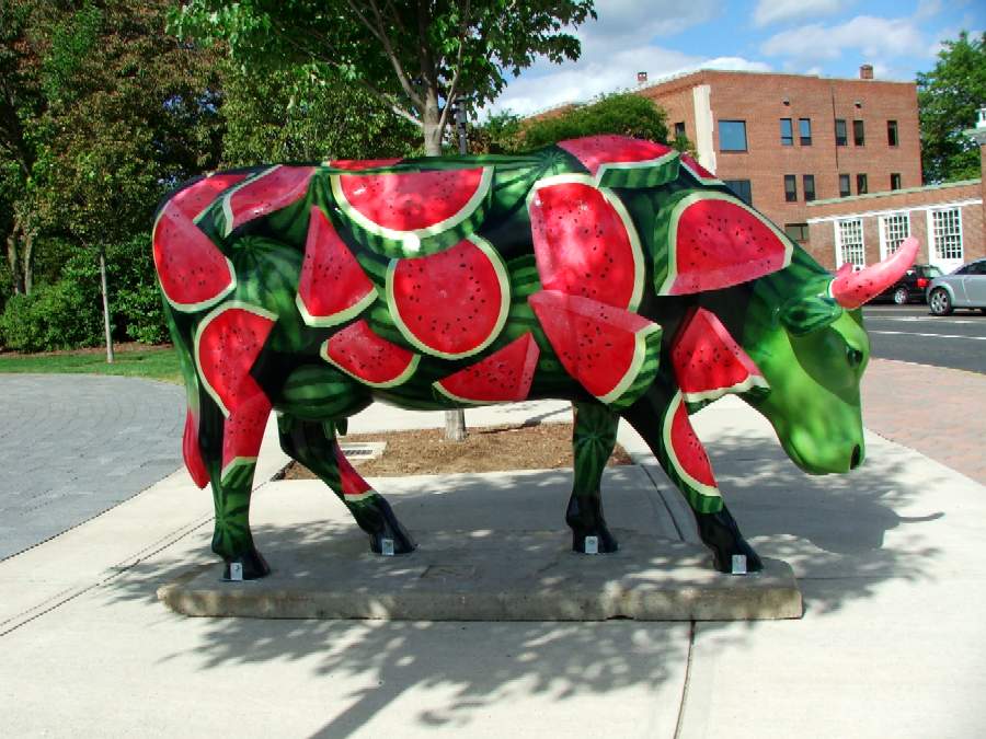 LIMITS ARE BORING: The "Cow Parade"