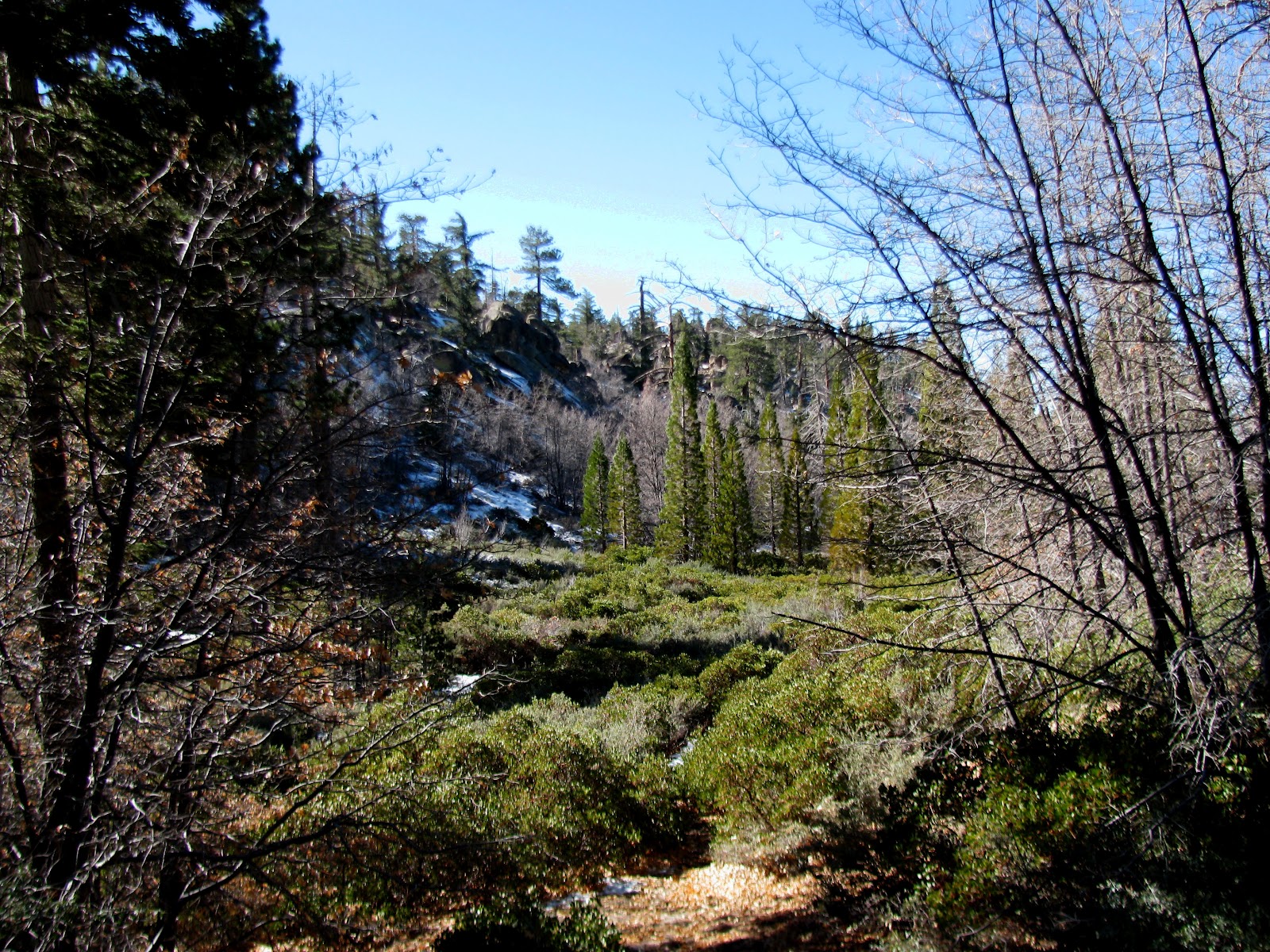 Journey to the Penny Pines Plantation - The Hungry Mountaineer