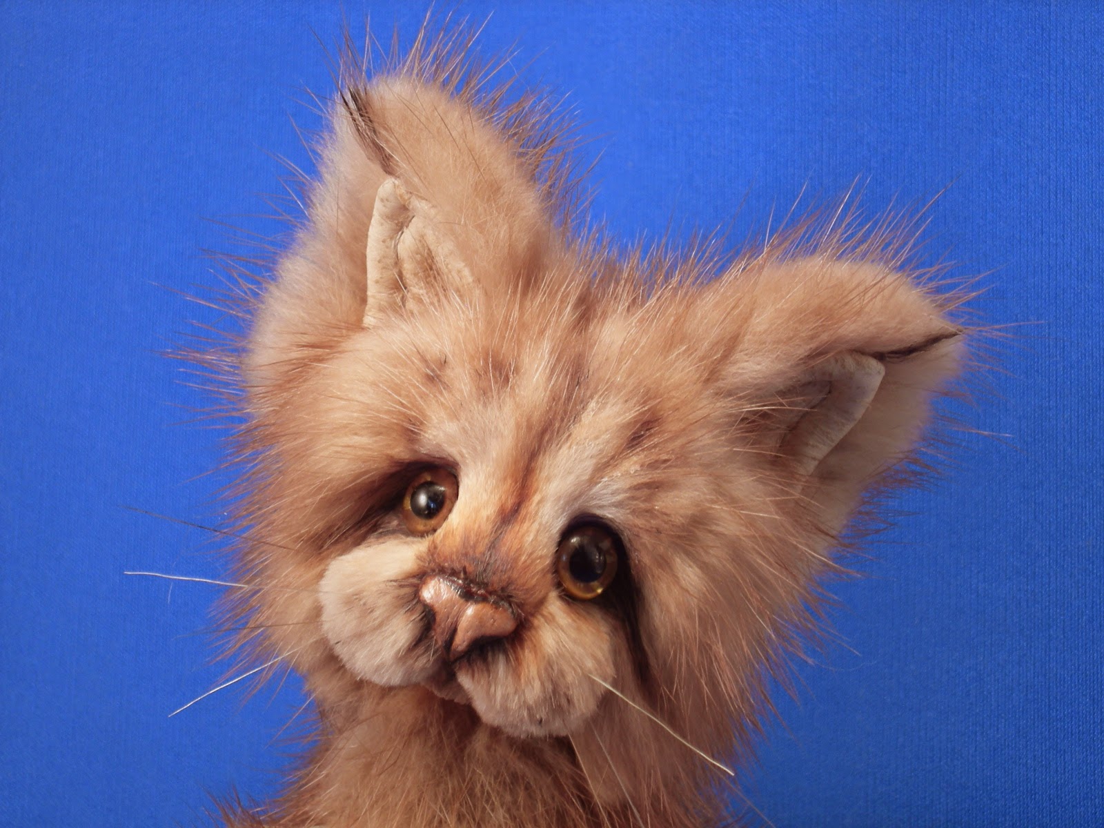 Designed By Kathy Myers: My Mink Cats