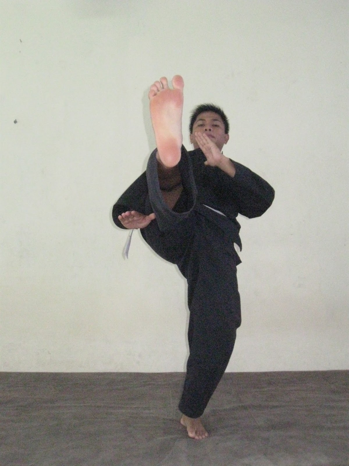 PENCAK SILAT DASAR: TEKNIK DASAR PENCAK SILAT