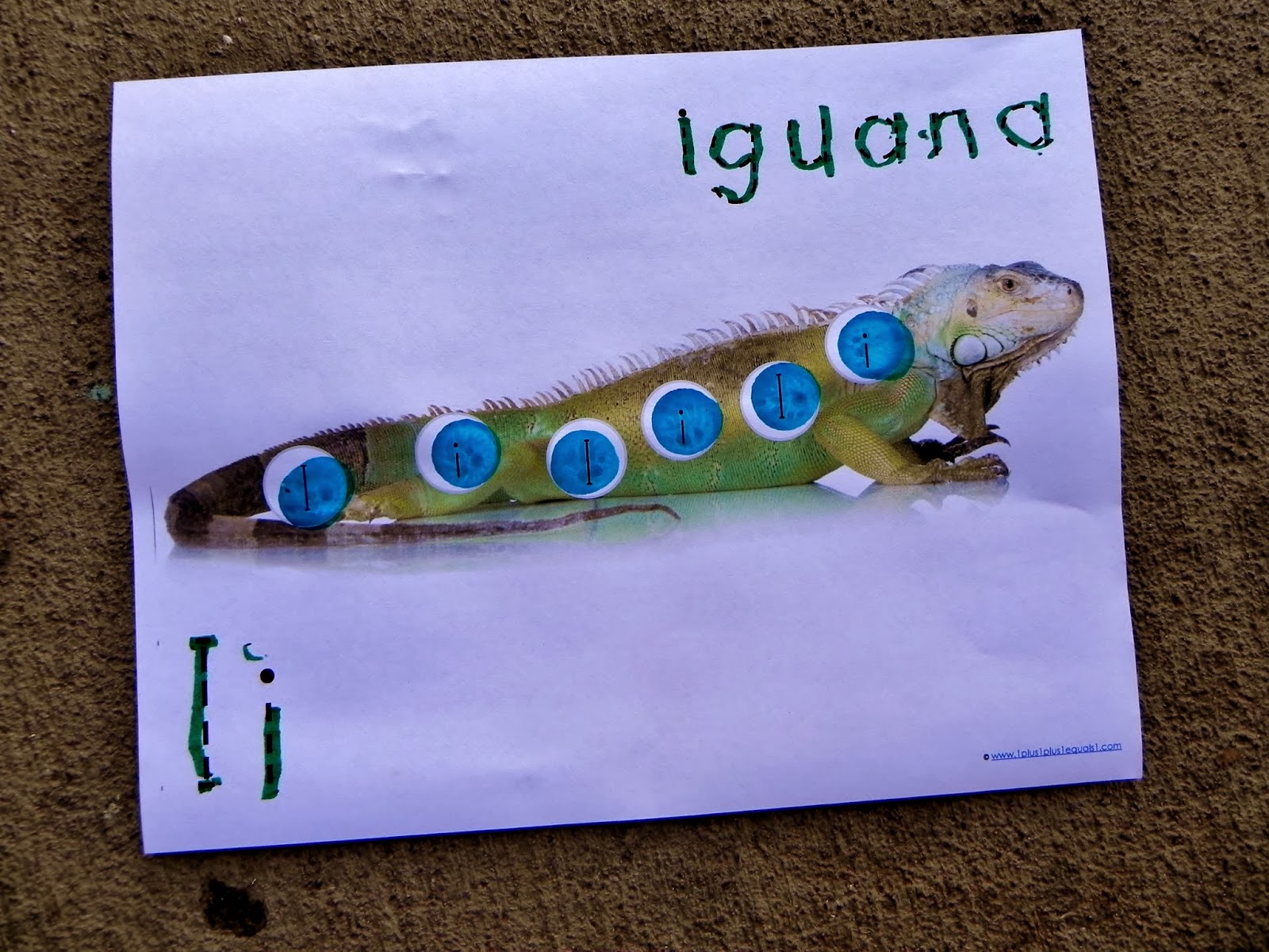 The Fantastic Five: Animal ABCs: Letter I