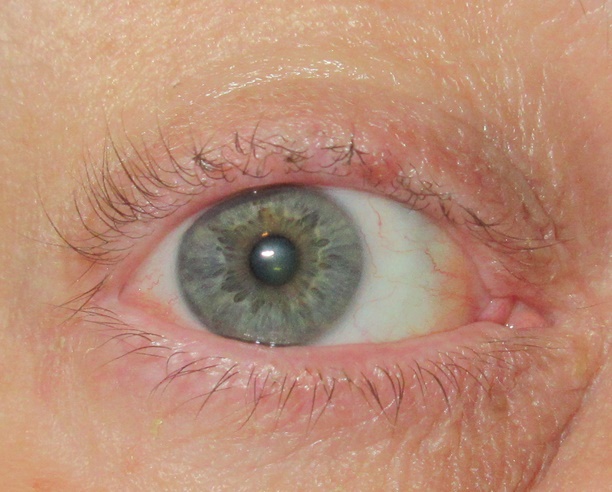 DON'T READ THIS; IT'S BORING!: Sluggy's 2015 in Review