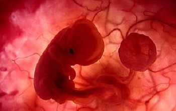 FISIOLOGIA HUMANA: CRECIMIENTO Y DESARROLLO FUNCIONAL DEL FETO