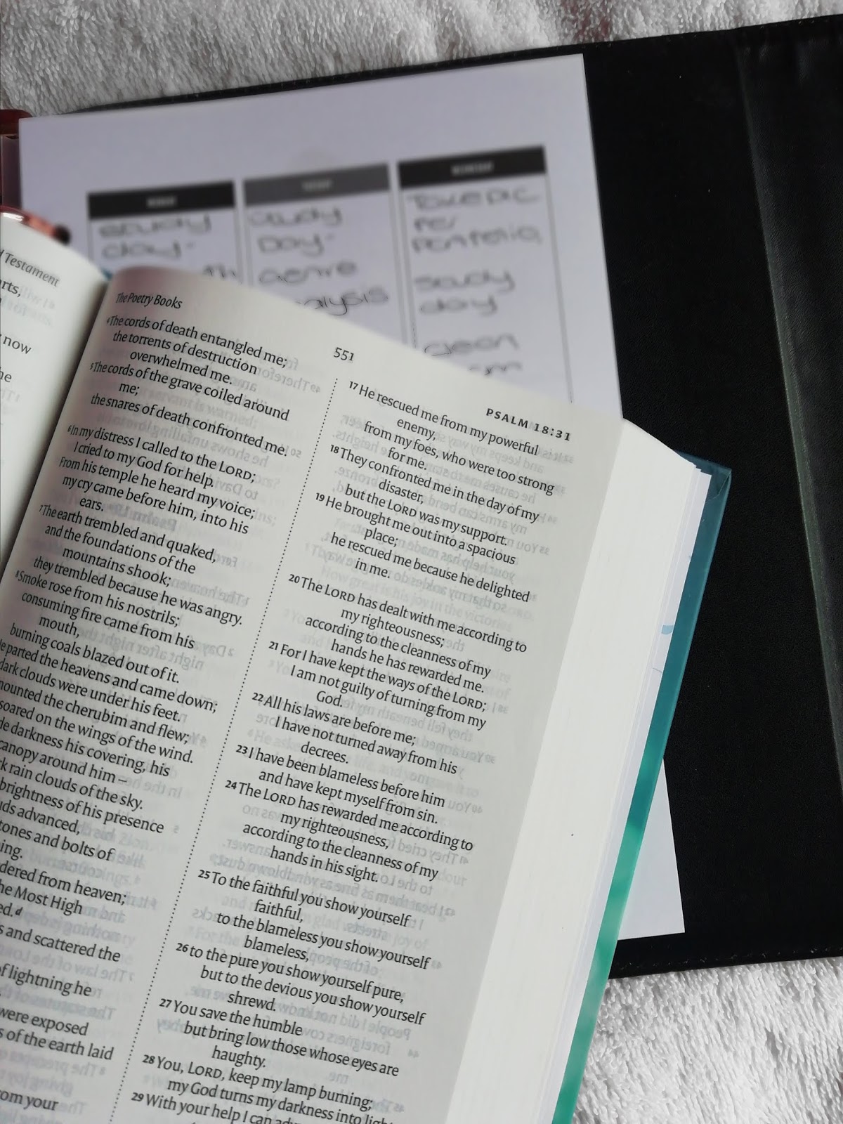 8 Bible Scriptures That Get Me Out A Rut - Chelle Belle