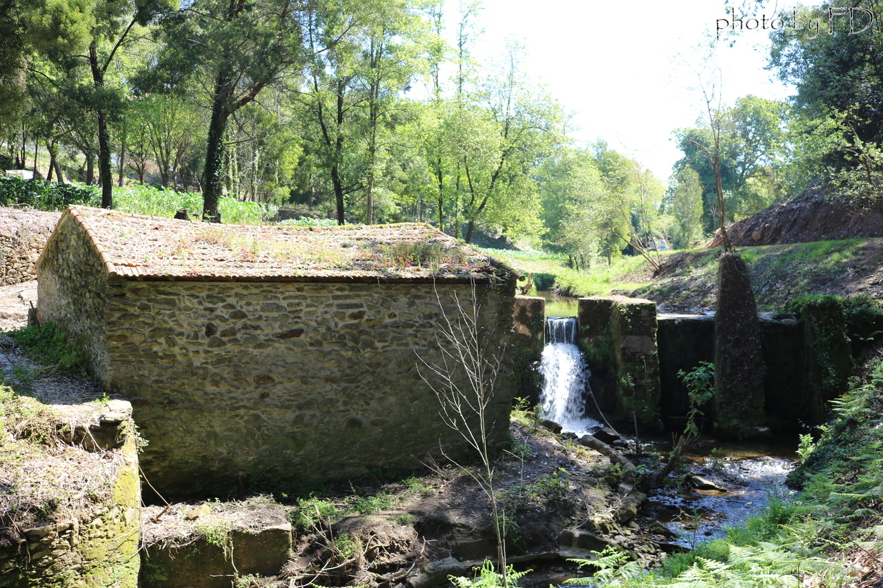 Pé ante pé : Passadiços de Arcozelo