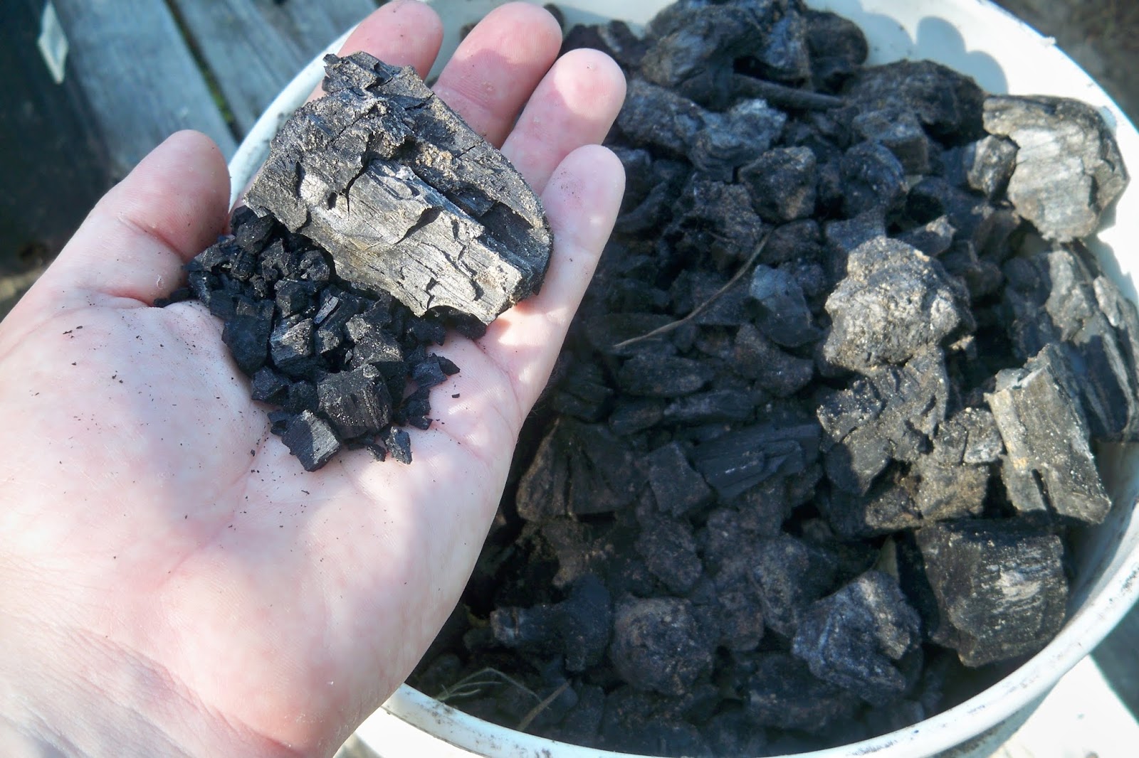 BeyondOilNYC: Biochar - a low-tech way to store carbon