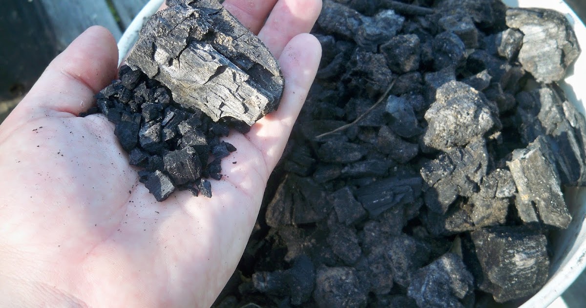 BeyondOilNYC: Biochar - a low-tech way to store carbon