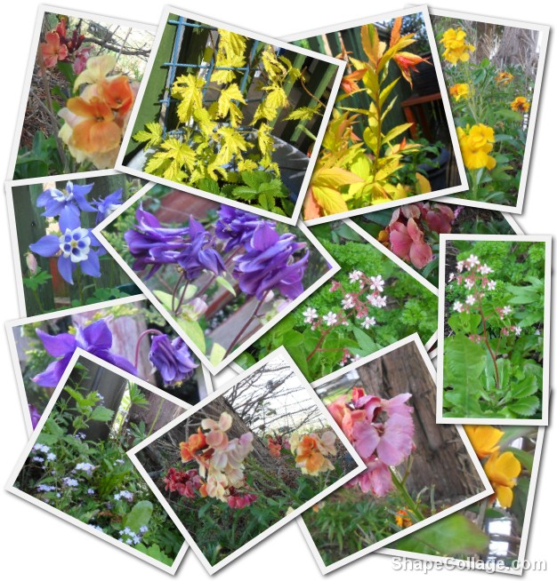 the silverscrapper's craft space: Garden Flowers Collage