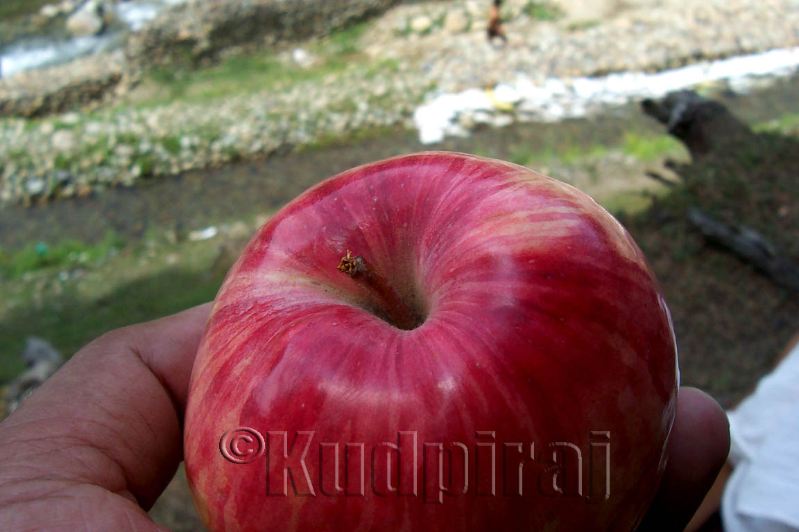 Kudpiraj's Garam Tawa: Memories of Kashmir