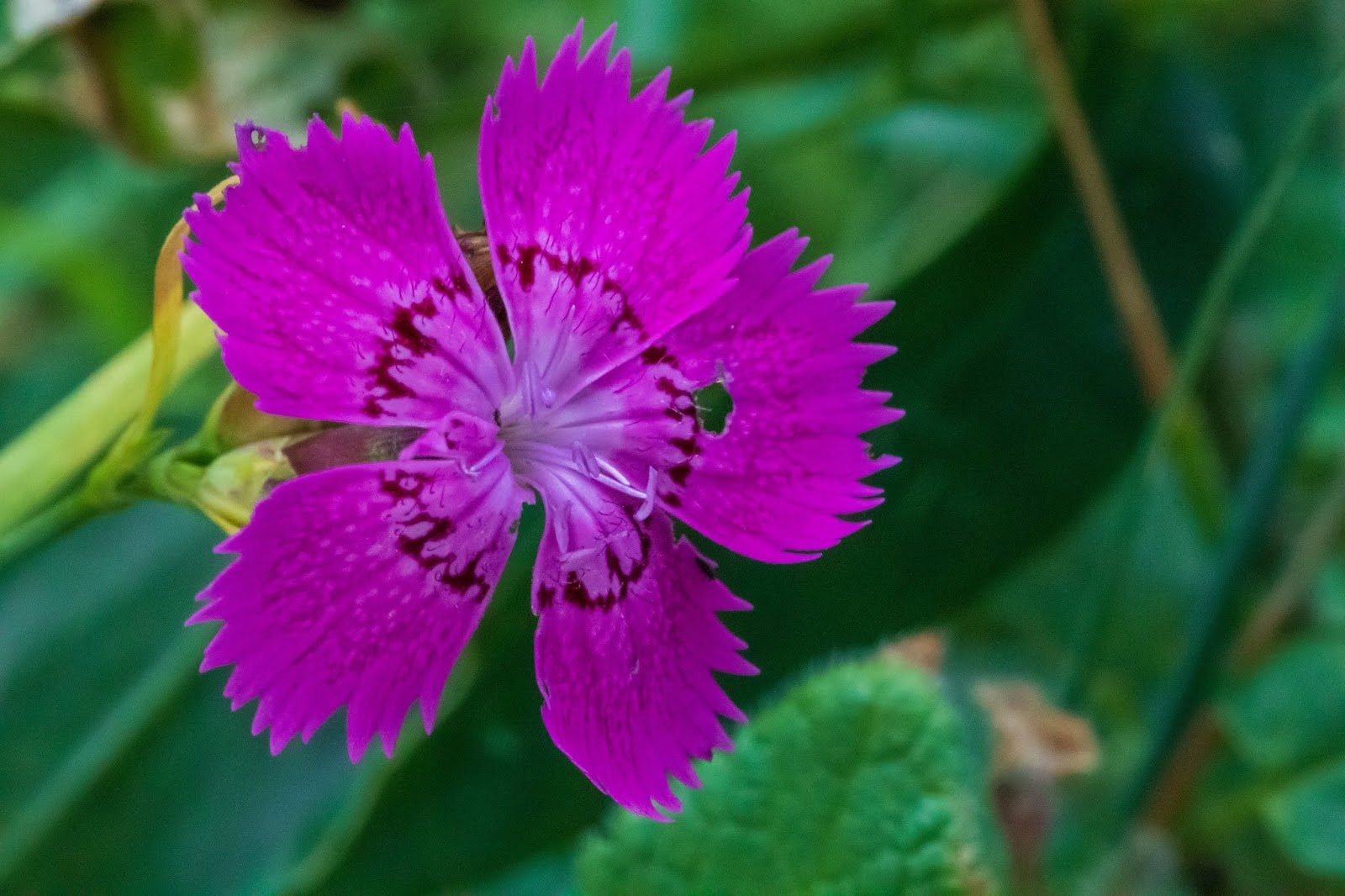 TravelMarx: A Hike to Rifugio Tagliaferri via Val di Gleno
