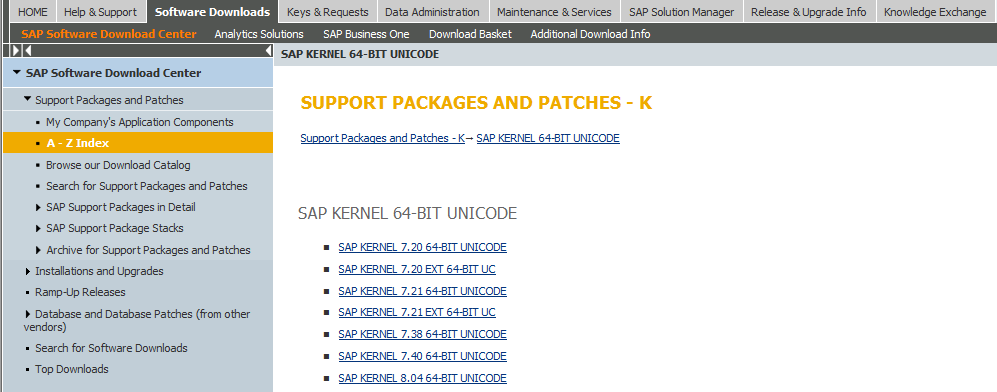 SAP Kernel
