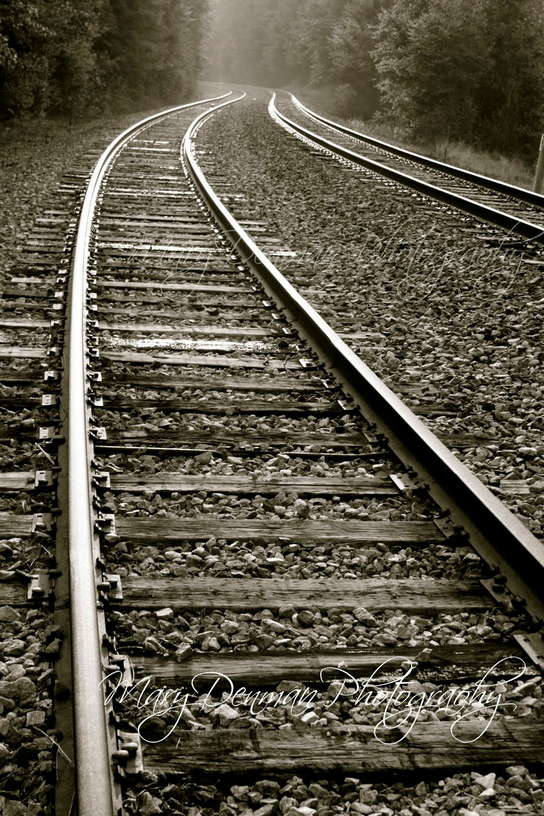 Mary Denman: Photo Tip Friday: Horizontal versus Vertical in Photography