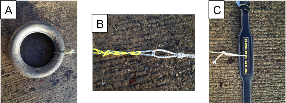 One Foot in Front of the Other: How to Build a Tyre Pull