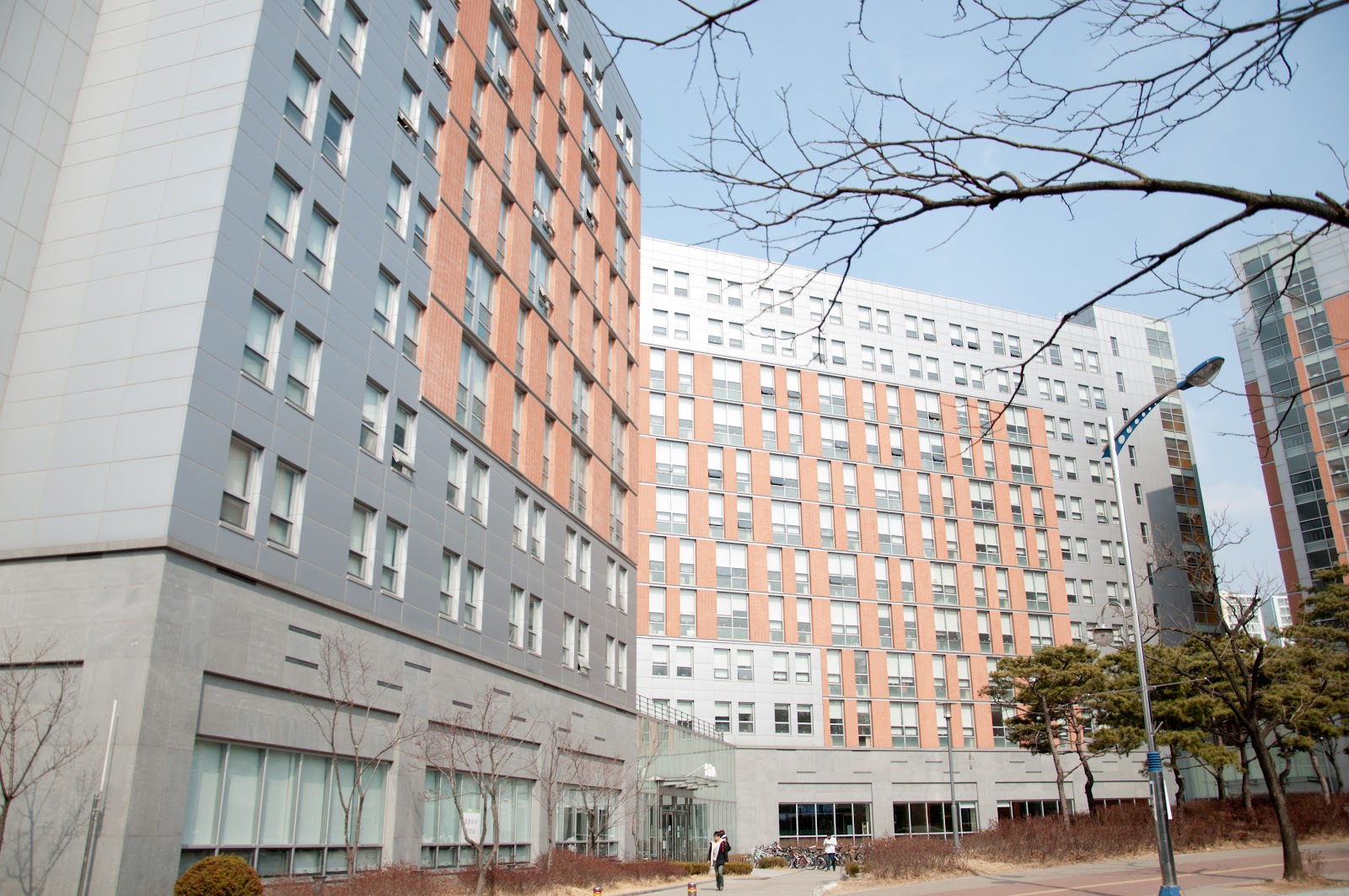 Through My Lens: Update: First week at SKKU