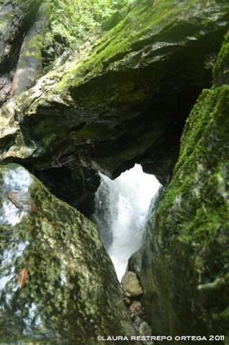 DISEÑO Y OPERACIÓN INTEGRAL DE ACTIVIDADES GUIADAS EN ESCENARIOS DE ...