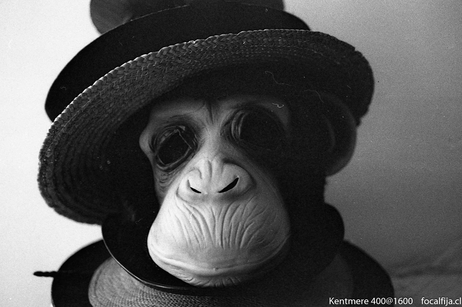 Kentmere 400 Push @800 @1600 @3200 Revelado con Rodinal