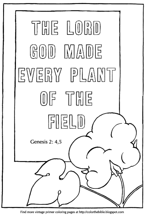 "God Made Every Plant..." primer coloring page | Color The Bible