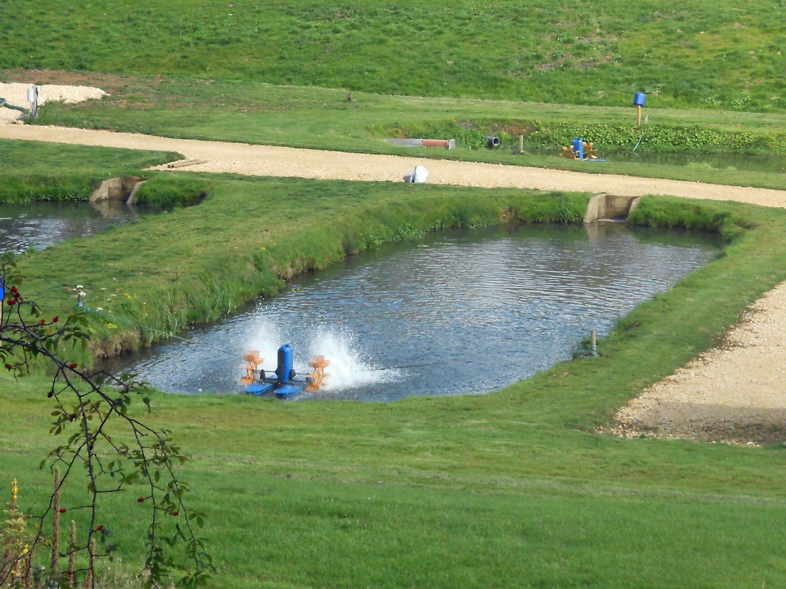 Journeys on Foot: Rutland Water, Whitwell, Exton and Empingham