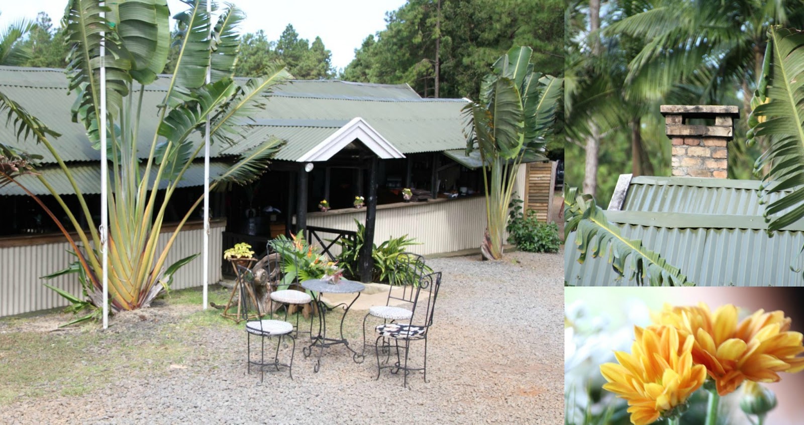 Voyages et Expériences : Ile Maurice: La Vieille Cabane, le restaurant ...