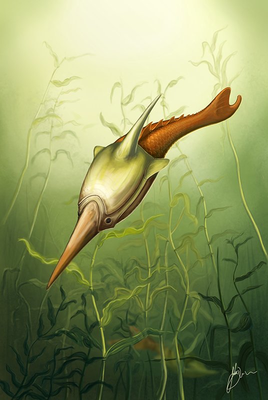 Mundo pré-histórico: Pteraspis