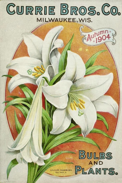 Bee In My Bonnet: Vintage Block Along - Block Six - Vintage Lily Block ...