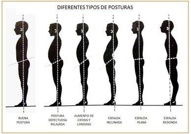 elongación por biomecánica: ..postura eficaz, alineación postural ...